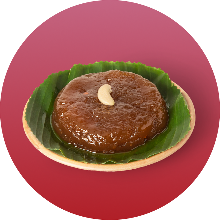 Pattri: Journey Into India